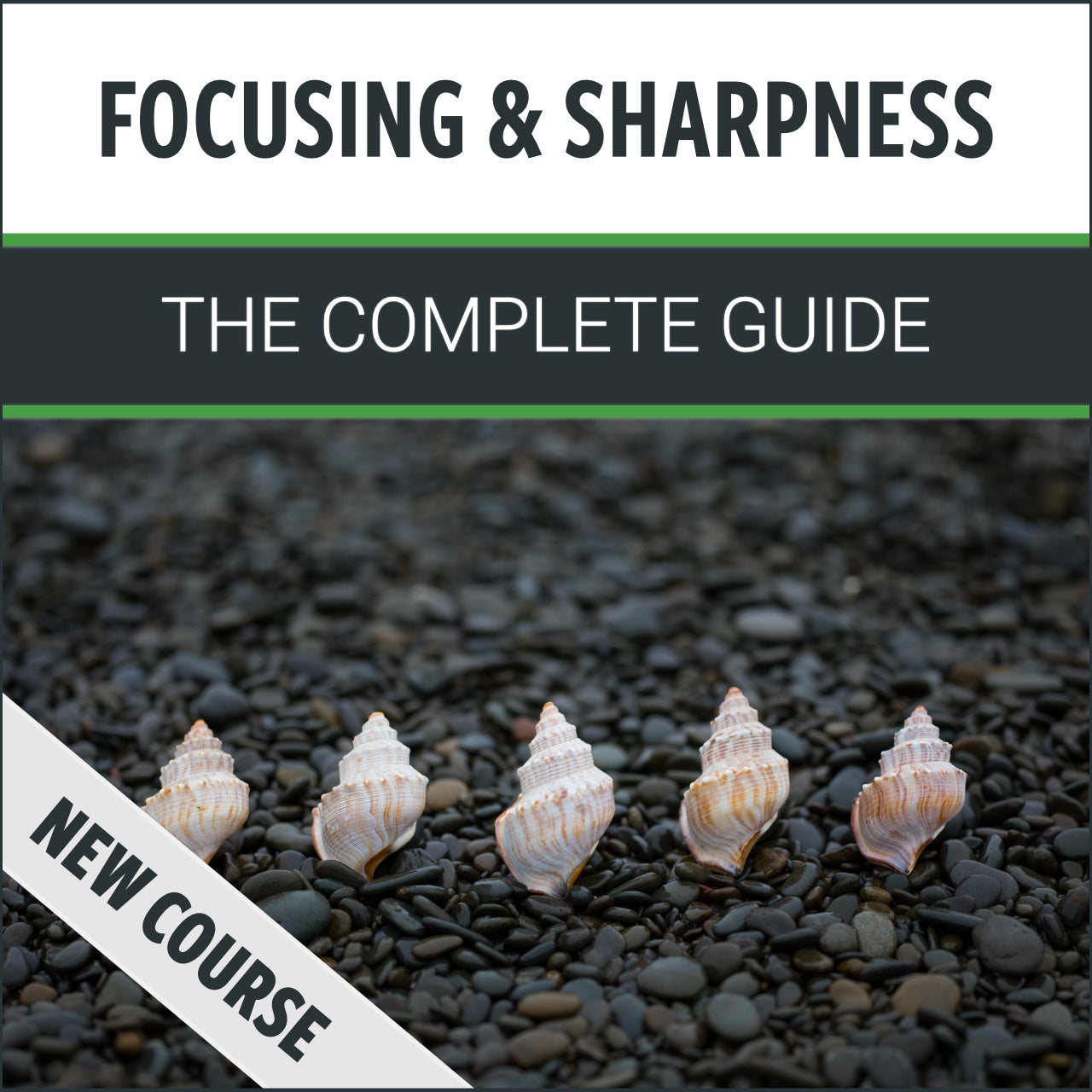 Focusing & Sharpness: The Complete Guide – John Greengo Photography